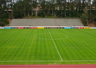SF State Women's Soccer Camps